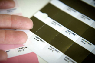 Pantone 448C - boja o kojoj svi govore